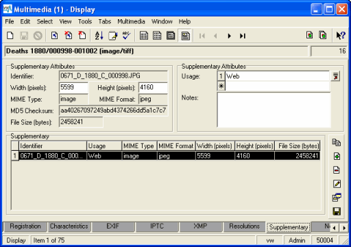 How to add supplementary media